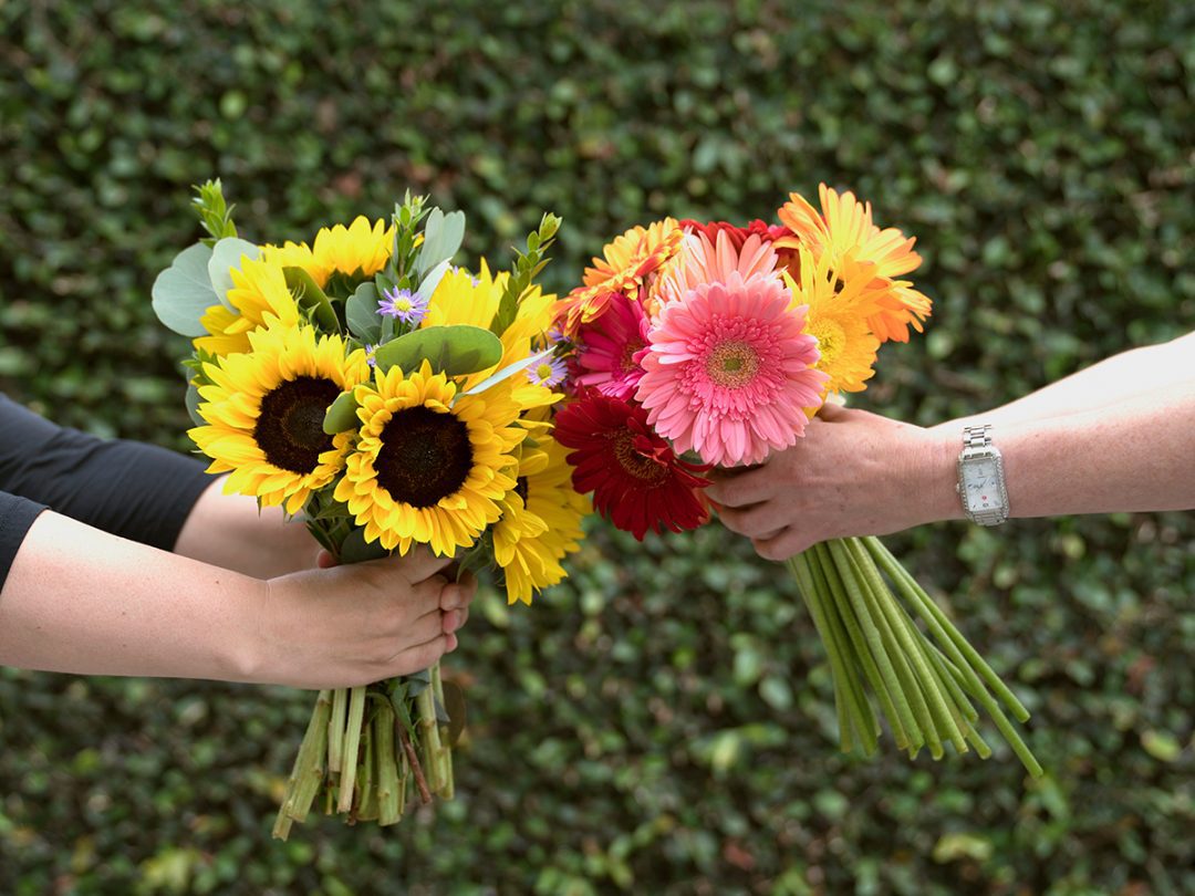 20 Popular Flowers That Represent Friendship | allwaysflower