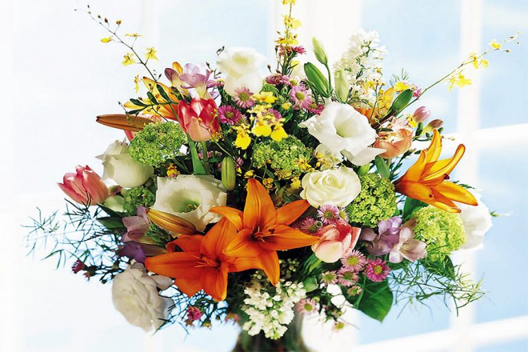 Flowers for Teacher Appreciation | flowers to teacher top 10 ...