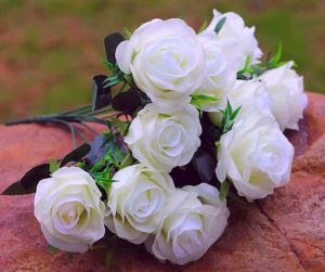 16 Gorgeous Apology Flowers: Best Way to Say Sorry | allwaysflower