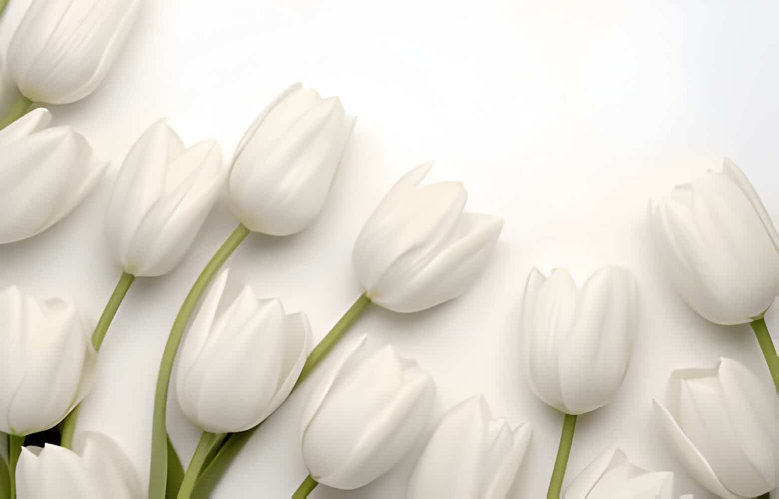 13 Beautiful Flowers That Symbolise Peace | allwaysflower